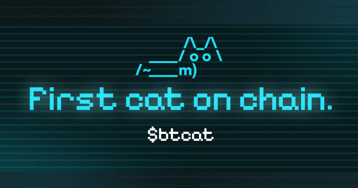 $BTCAT